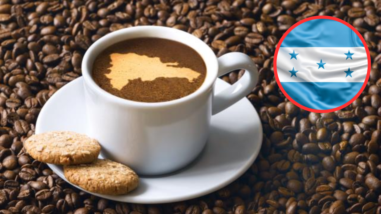 Honduras enfrenta dificultades para cumplir su meta exportadora de café ...